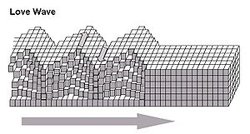 Love waves travel on the Earth's surface